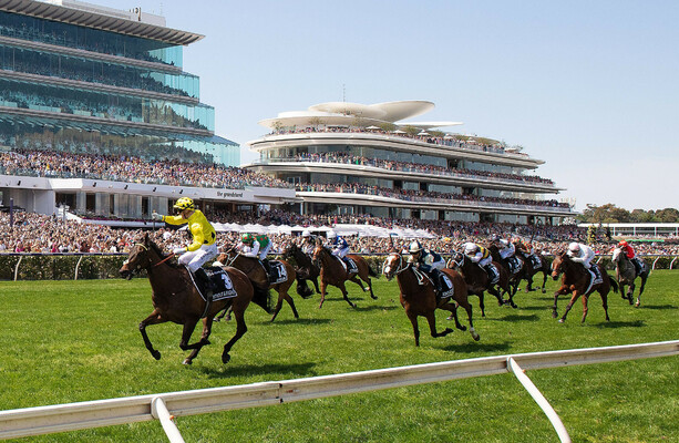 Willie Mullins’ Melbourne Cup challenge ends in Vauban disappointment