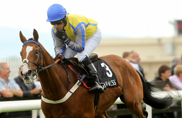 Irish jockey Graham Lee in intensive care after damaging spine in fall
