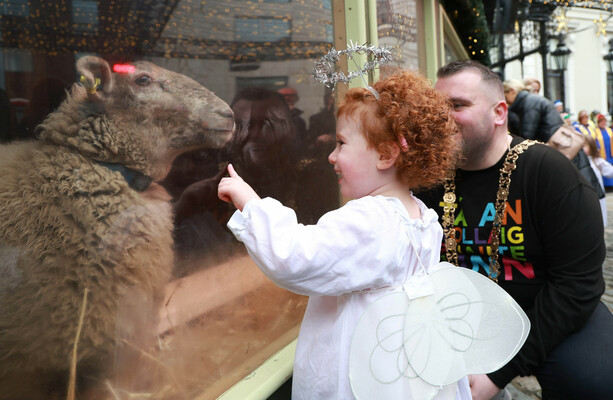 Live animal crib returns to Dublin's Mansion House after last year's ...