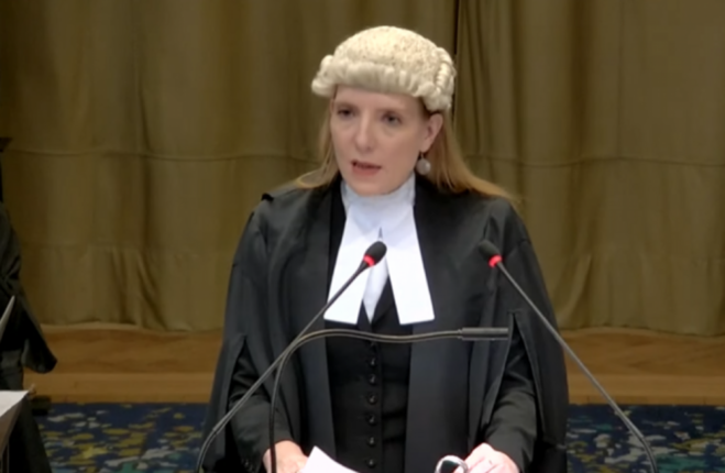Blinne Ní Ghrálaigh: Who is the Irish lawyer acting in a genocide case ...