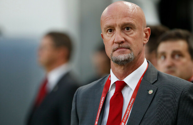 Next Ireland manager set to face Hungary in June friendly · The 42
