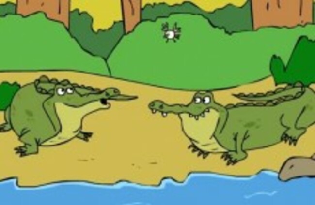 VIDEO: Crafty Cork crocodiles are crafty · The Daily Edge