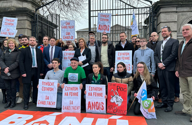 Irish language activists and politicians protest at the Dáil over ...