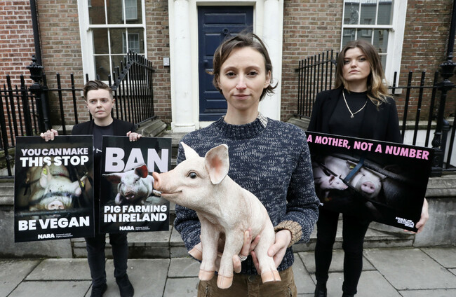 Here's What Happened Today: Tuesday · TheJournal.ie