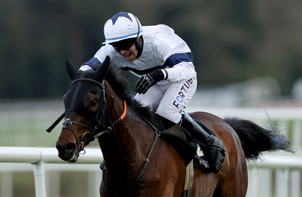3 tips for Wednesday's card at Cheltenham - including a 14/1 Irish hope