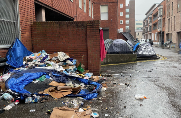 Taoiseach accused of 'pandering to fears whipped up by far-right' in ...