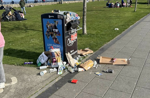Trashing the place: 'The actual state of litter in Ireland'