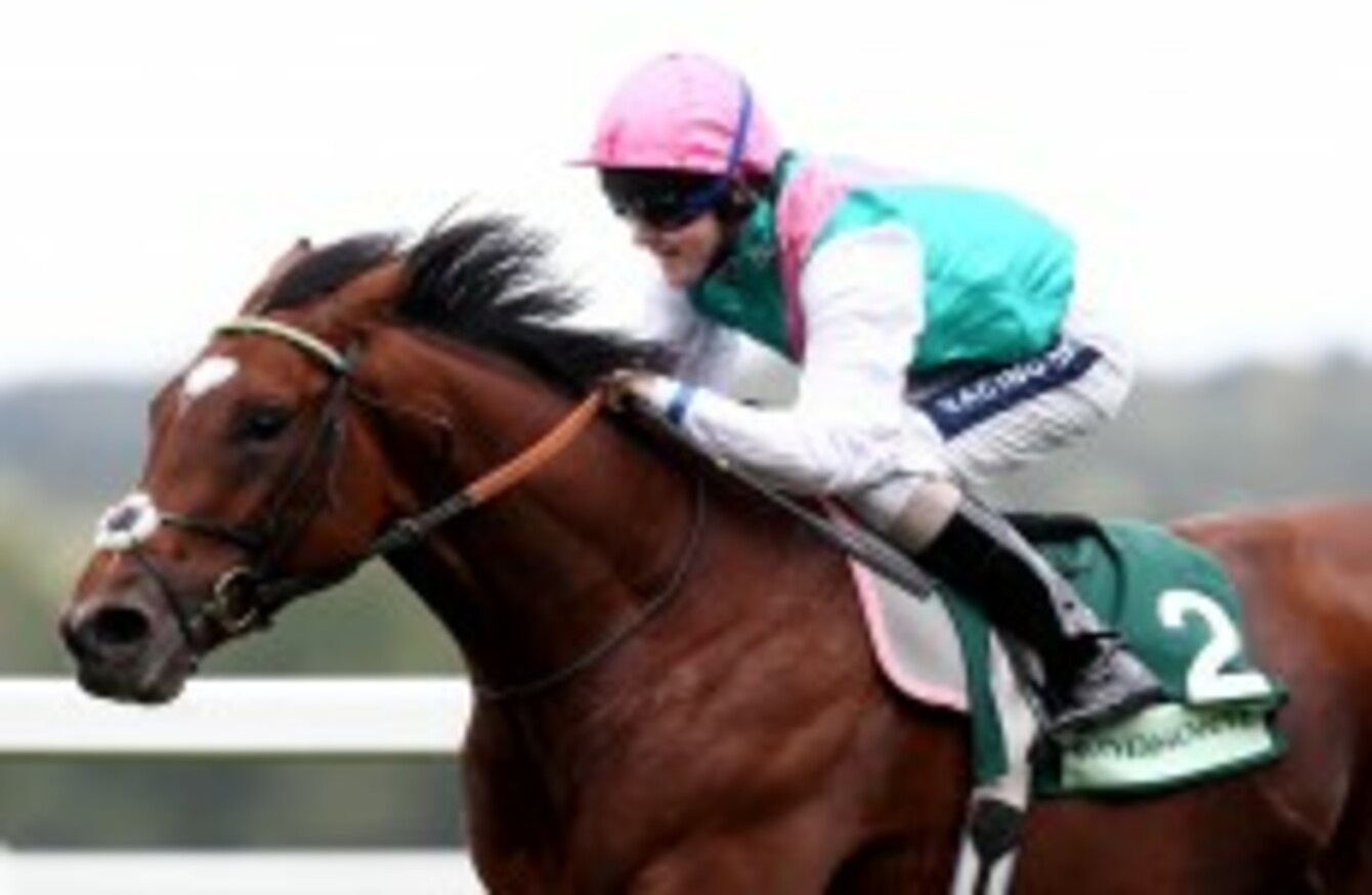 Frankel's farewell: Legendary horse set to go out on winning note