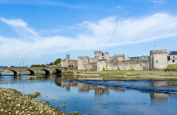 Chief Executive? First citizen? What Limerick's new directly-elected ...