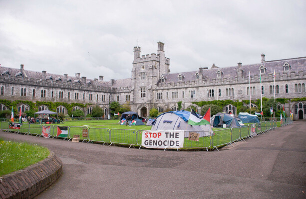 Two pro-Palestine student activists arrested at protest over Tánaiste's ...