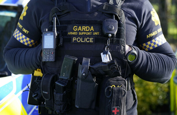 Gardaí investigate as 'unrestrained' dog attacks dog being walked in ...