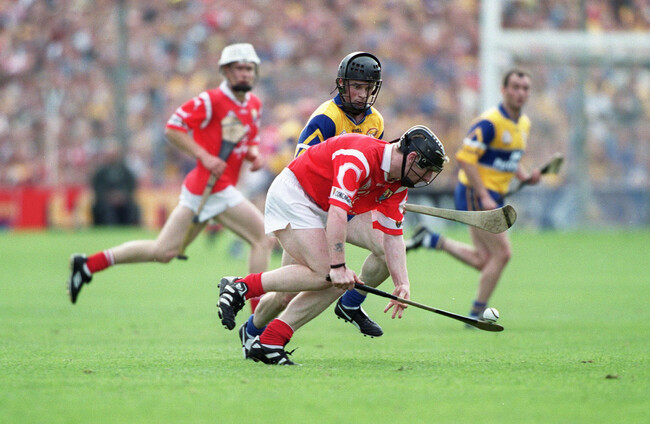 'There was great motivation in seeing how Clare had bullied us. It ...