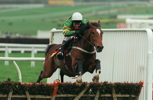 Racing great Istabraq dies aged 32 · The 42