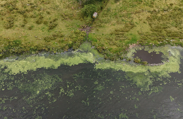 Bacteria from livestock waste and human effluent discovered in Lough ...