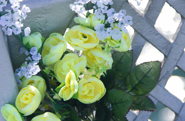 Family of swimmer who drowned in Galway pay tribute to hundreds who ...