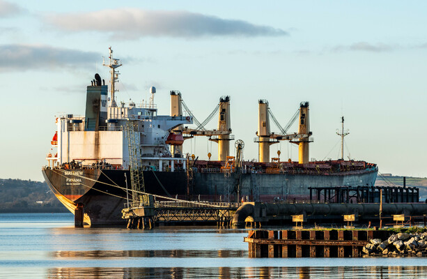 State can dispose of seized cargo ship that has cost €100,000 a week to ...