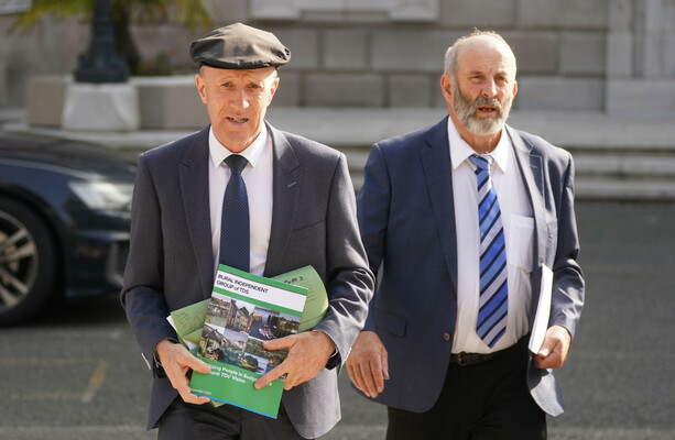 Healy-Raes and Paul Gogarty join forces with Independent Ireland in ...