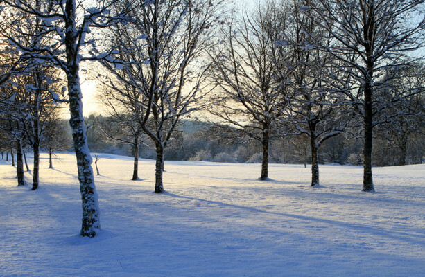 Poll: Are you hoping it snows this week? · TheJournal.ie
