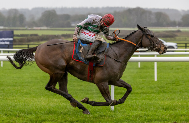 Gordon Elliott and Sam Ewing claim Grade One success at Naas · The 42