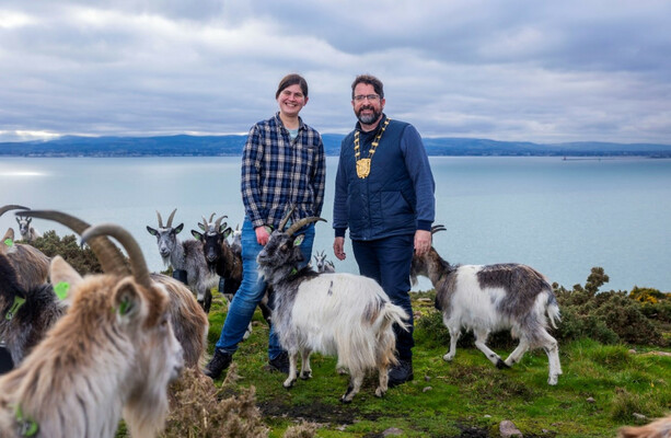 Howth goat herder given electric bike to help herd of Old Irish Goats ...