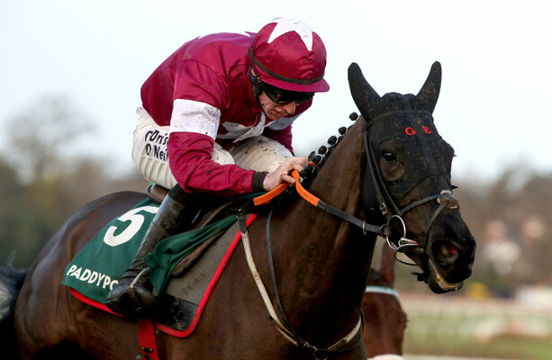 'Absolute superstar' Delta Work dies aged 12 · The 42