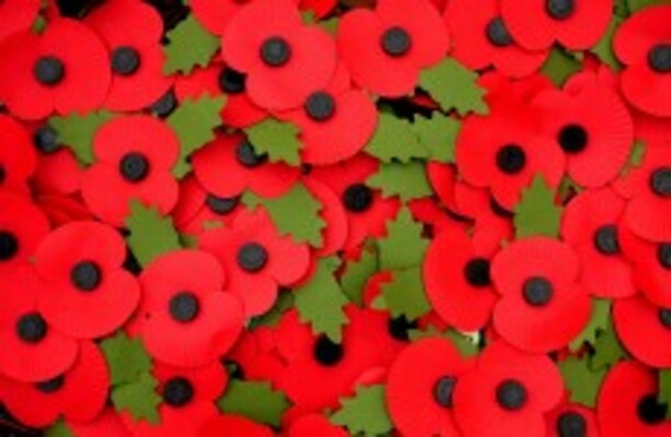 Column: ‘Surely it’s time Ireland embraced the memorial poppy’