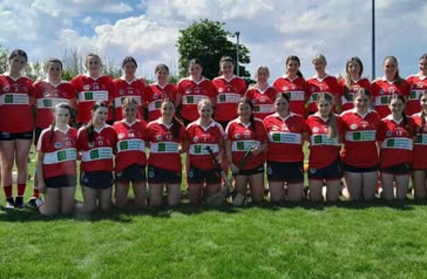'I thought we should do something' - Playing a club camogie final in shorts