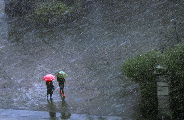 Status Yellow rain and thunderstorm warnings in place for 10 counties