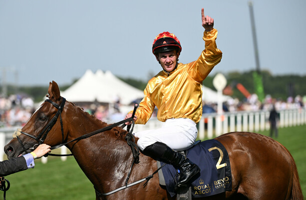 Irish joy as Cercene upstages Zarigana in Coronation Stakes · The 42