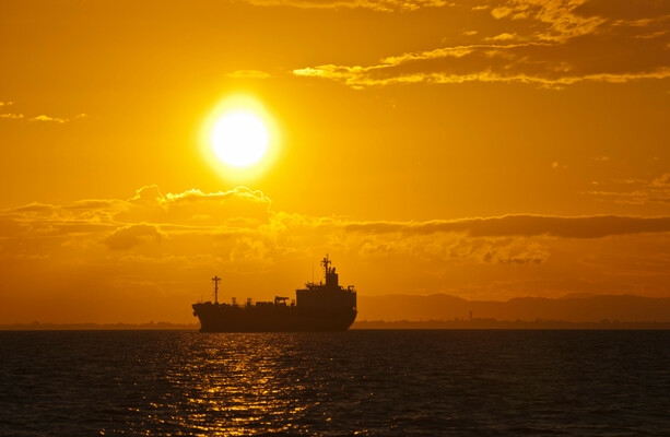 Trans terrassa i noticed the mentions of Lora Queen upon