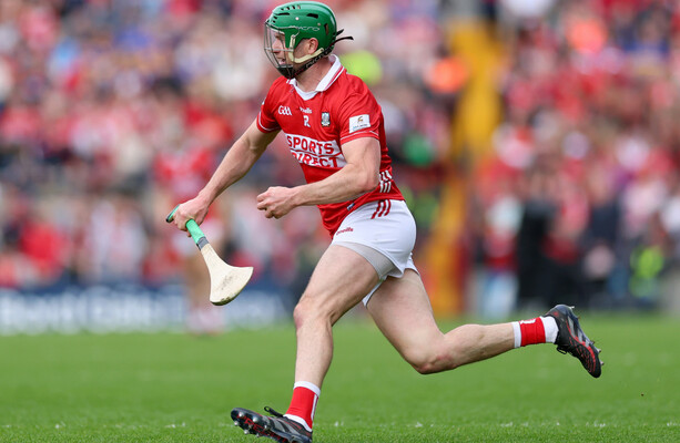 Bunny robot rule 64 scheduled an appointment on the