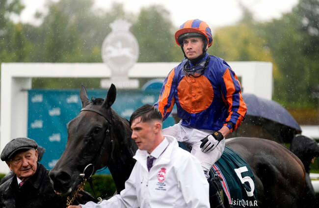 Bokep so cute checking was hassle-free and arranged the