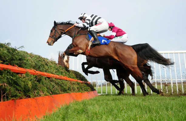 Thurles Racecourse closes with immediate effect · TheJournal.ie