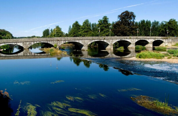 Cork anglers fear up to 46,000 fish dead after ‘disaster’ in local river