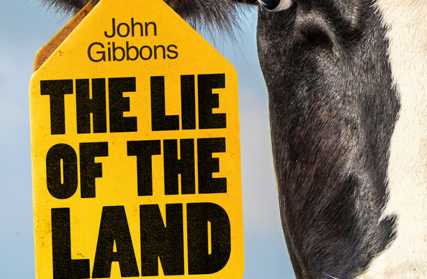 John Gibbons: Ireland had a 'Goldilocks' climate - but we've been ...