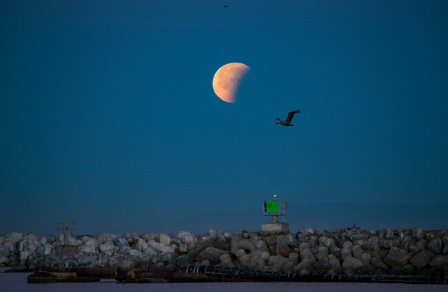 There's a rare partial 'blood moon' eclipse tonight - but you might ...