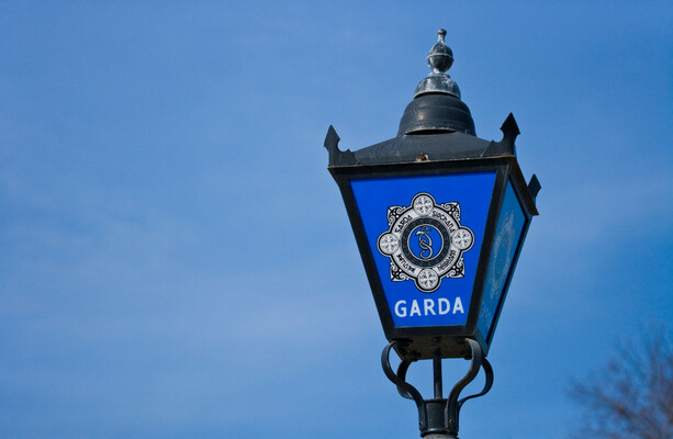 Garda trainee suspended as investigation launched into assault allegation