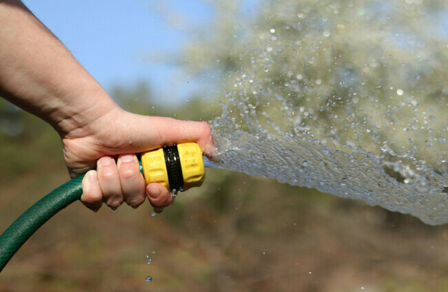 Johnathon caine onlyfans leaks she is a country girl that