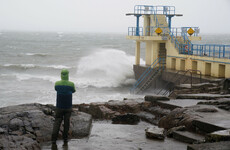 Maria Steen secures backing of 10 TDs and senators in bid for the Áras