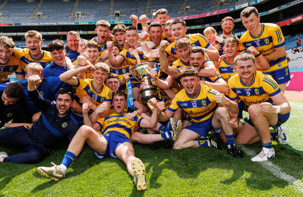 Roscommon lead the way as seven counties honoured in Champion 15 selection