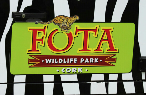 Samples taken from dead birds at Fota Wildlife Park test positive for ...