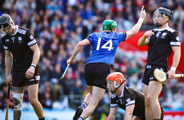Sweeney goals help Sarsfields defeat Midleton to land Cork senior ...