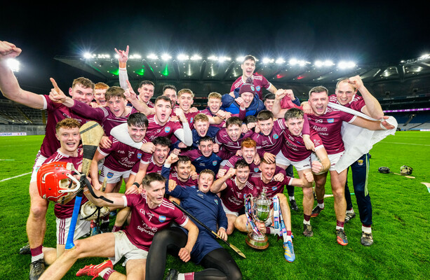 Wexford's St Martin's win Leinster hurling final thriller against ...