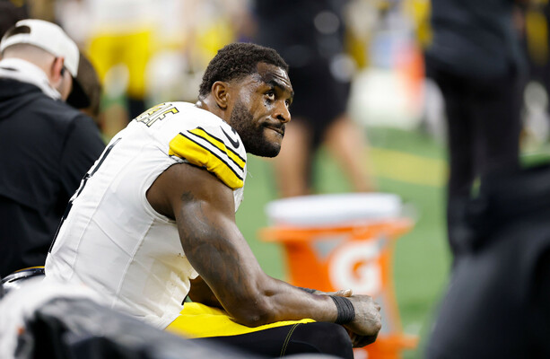 Pittsburgh Steelers wide receiver DK Metcalf appears to throw punch at fan