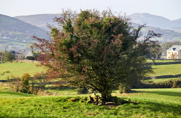 Are you superstitious? · TheJournal.ie