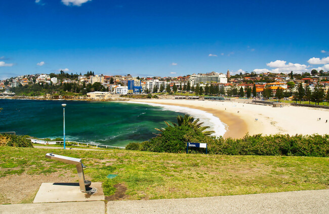Woman in her 30s critically injured after shark attack at Australia's ...