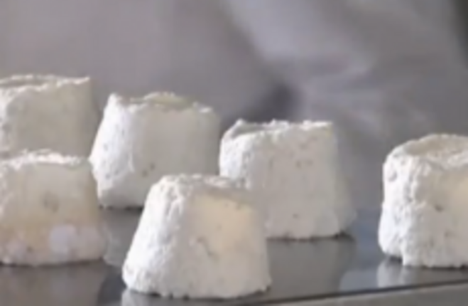 Novak Djokovic has bought ALL of the donkey cheese in the world for his ...