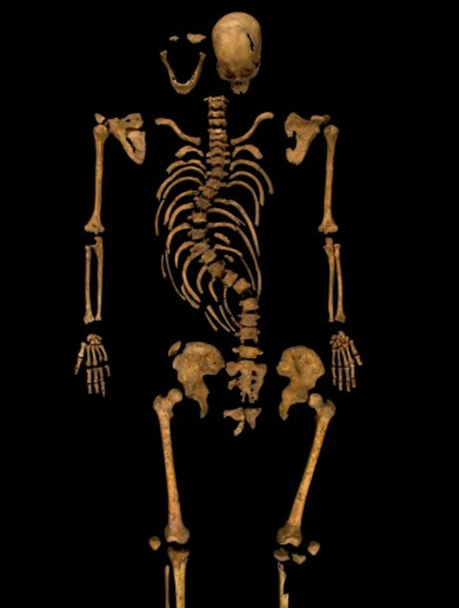 Skeleton found under car park is King Richard III, say archaeologists