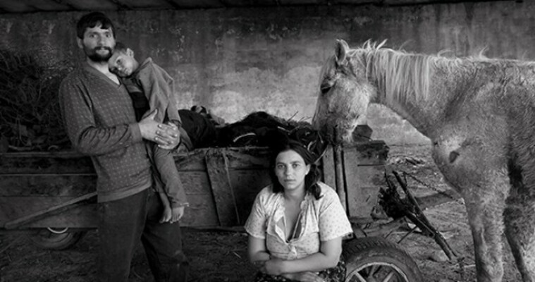 24 breathtaking photos taken by Irish camera club members