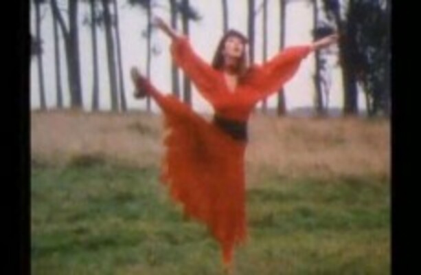 Singer Kate Bush to put CBE 'on top of Christmas tree' · TheJournal.ie
